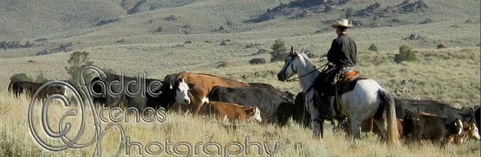 Management Consultant | Ranch Services West